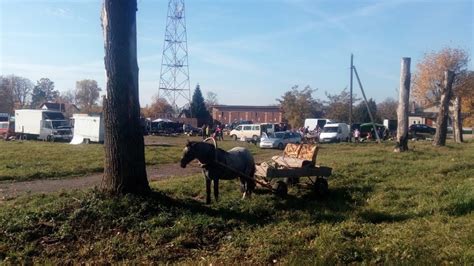 ВТОРНИК Март 18 УТРО В БЕЛАРУСКОЙ ДЕРЕВНЕ АБСОЛЮТНО ДОКУМЕНТАЛЬНОЕ КИНО С Никой на Базар за