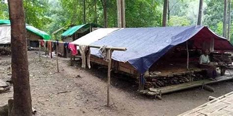 Dvb ပင်လည်ဘူးမြို့နယ်က စစ်ဘေးရှောင်များ ဆေးဝါးနှင့် အမိုးအကာလိုအပ်