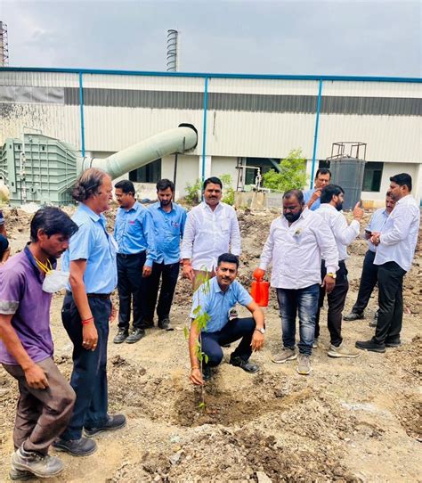 I Planted A Tree… I Realized That Planting Trees And Hr Initiatives