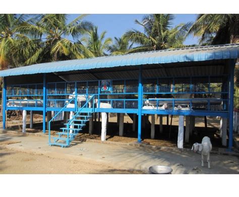 Mild Steel Cattle Shed Poultry Shed At 300 Square Feet In Kalmeshwar
