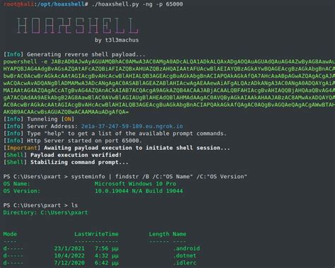 Hoaxshell Windows Reverse Shell Now Has Ngrok And Localtunnel Reverse Proxy Tunneling