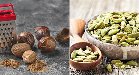 Cardamom Spicerally Flavors Made Simple