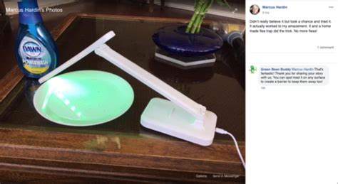 Bedbugs Fleas Not Going Away Try This