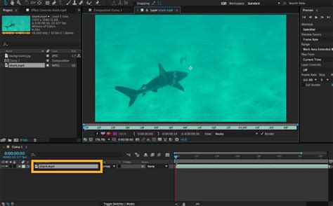 Rotoscope Nature Footage Adobe After Effects Tutorials
