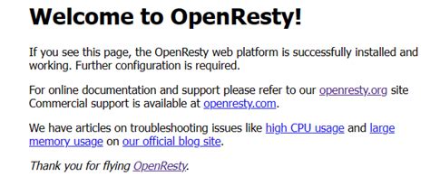 502 Bad Gatewayopenresty Nginx Fault Rnginxproxymanager