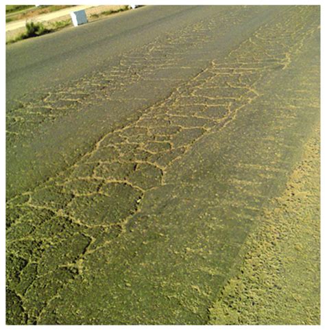 Example Of Rutting In Flexible Pavement Download Scientific Diagram
