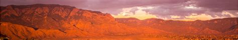 Unm Medical Group Inc Linkedin