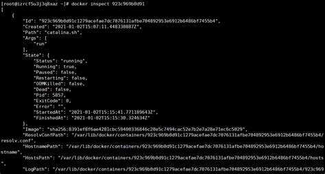 docker实战 javaguide