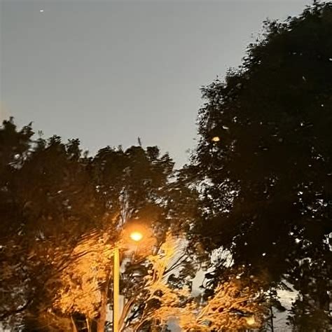 Perfect Song And Lyrics By Weial Spotify