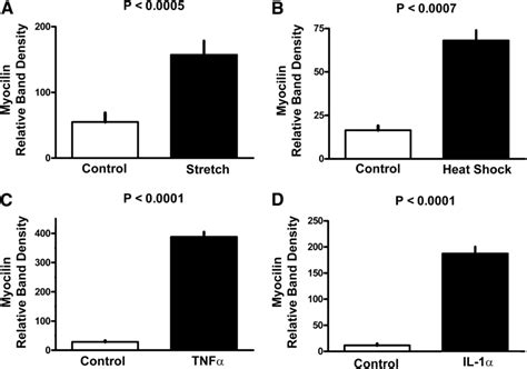 Stress Induction Of Myocilin Myocilin Levels In Culture Medium Were