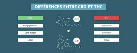 Cdb Vs Thc Quelle Est La Différence Blog Cbd Nicovip