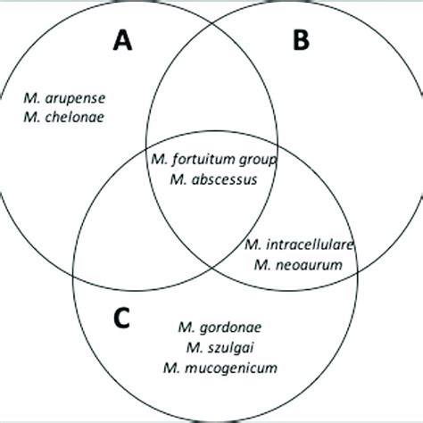 Distribution Of Ntm Species In Java A Types Of Ntm Species In
