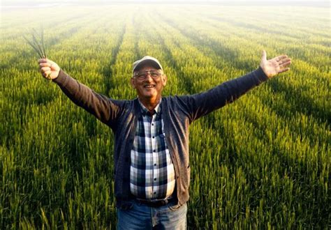 Muse Stem Cell Therapy Guide 2026 Complete Overview