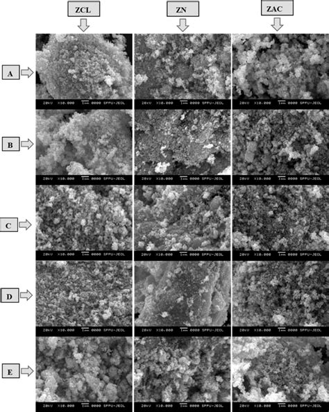 Sem Micrograph Of 0 2 5 7 And 10 Wt Ag Doped Zno A B C D Download Scientific