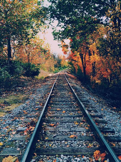 Picture I Took A Couple Years Ago Riwallpaper