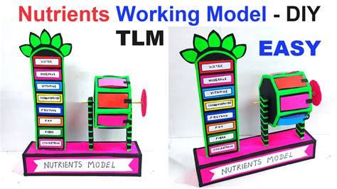 How To Make Working Model Of A Nutrients Chart Science Projects