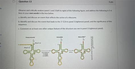 Solved Observe And Critically Analyse Panel 1 And 3 Left To