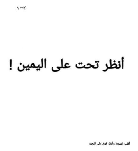 Funny Arabic Quotes