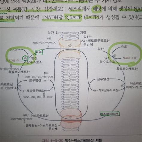 Daum 카페