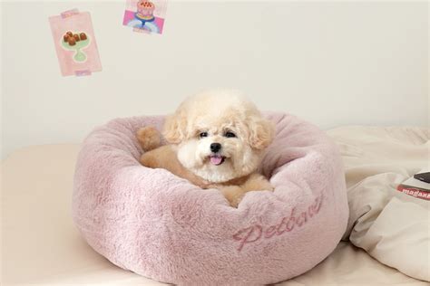 강아지 리빙 Wow 펫본 보들보들 원형방석 핑크 M 오늘의집 쇼핑