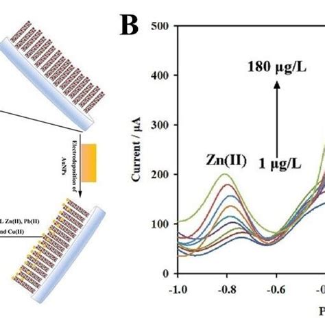 Electrochemical Detection Of Heavy Metal Ions Zn2 Pb2 And Cu 2