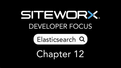 Chapter Requesting Aggregations Facets Dev Focus Elasticsearch X Tutorial Demo