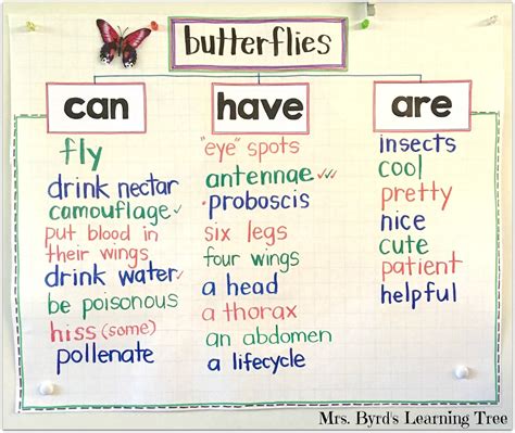 Animal Classification Tree Map