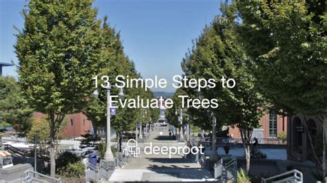 News Deeproot Blog