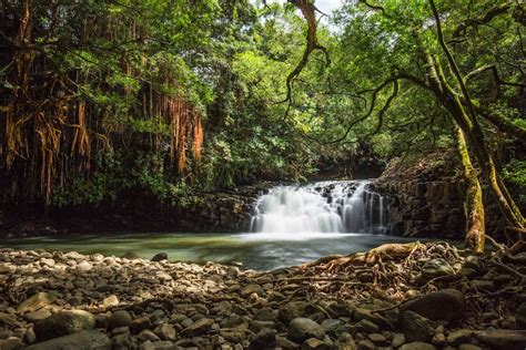 Discover These Stunning Maui Waterfalls Maui Condo And Home Llc