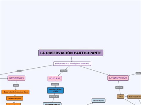 La Observaci N Participante Mind Map