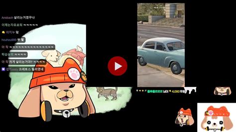 강소연 혜지야 빨리 말했어야지 치지직 에펨코리아