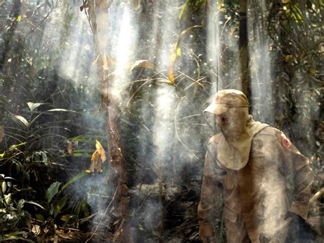 En Jaque La Seguridad Climática Del Planeta Por La Destrucción De La