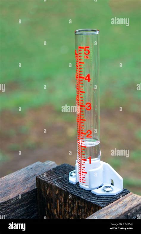 An Inch And A Half Of Rain Was A Welcome Relief Following A Long Hot