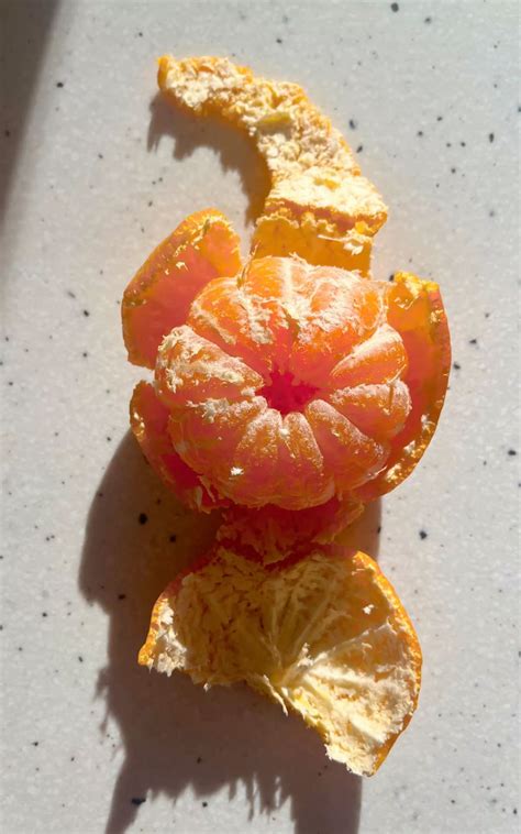 Best 13 My Tangerine Had Another Small Tangerine Inside Of It Artofit