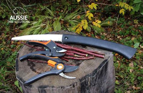 Tree Pruning Dos And Donts