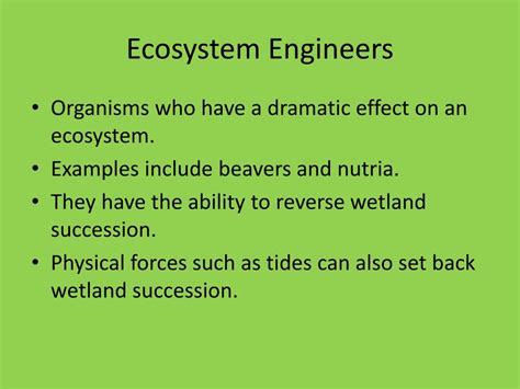 Ppt Wetland Ecosystem Development Powerpoint Presentation Free Download Id 2972929