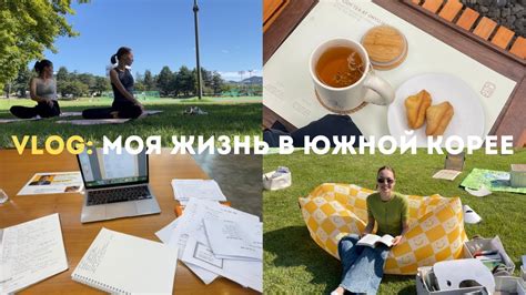 Южная Корея переезд учеба фестивали и будни Youtube