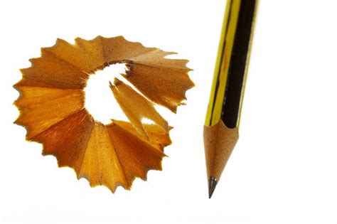 รูปภาพscob เลือกดูภาพถ่ายสต็อก เวกเตอร์ และวิดีโอ2116 Adobe Stock