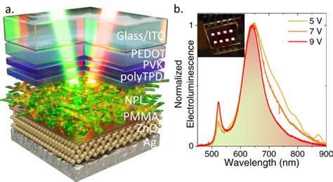 Double Crowned 2d Semiconductor Nanoplatelets With Bicolor Power
