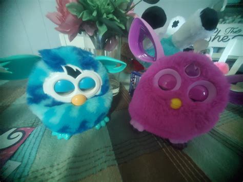 Meet My Furby Couple Rfurby