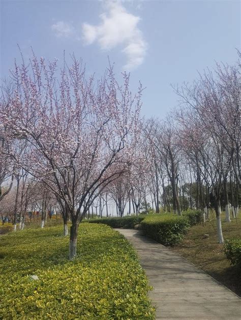 遊玩西安滻灞濕地公園的一些建議親子建議居多 每日頭條