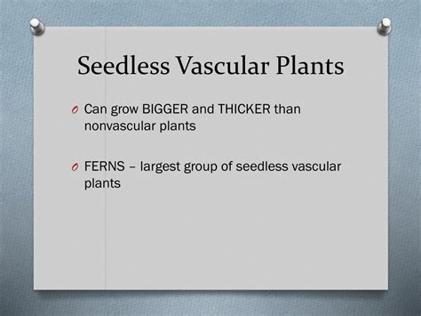 Ppt Seedless Plants Powerpoint Presentation Free Download Id2640593