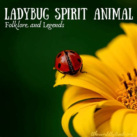 Ladybug Spirit Animal Symbolism Luck And Folklore