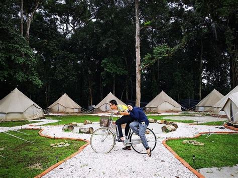 Sleep In A Tent Beneath A Starry Sky And Explore The Laid Back