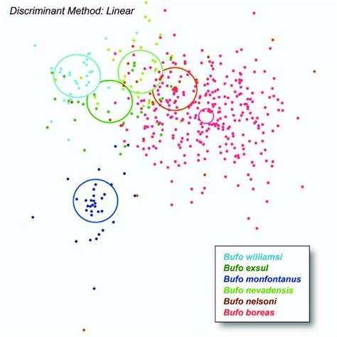 Discriminant Function Analysis Dfa Cross Validated Dfa Using 14
