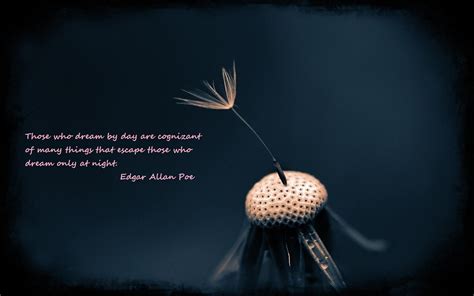 Edgar Allan Poe Wallpapers Top Free Edgar Allan Poe Backgrounds