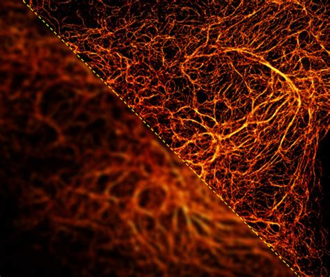 A Z Of Microscopy Terminology A Glossary Of Terms Oxford Instruments