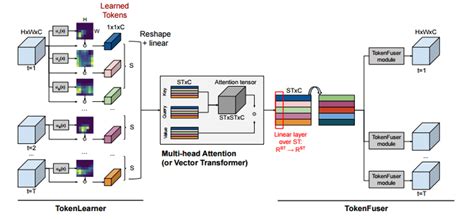视觉特征学习的新工具tokenlearner Token越少，特征越好 知乎