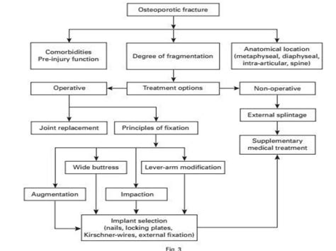 Osteoporotic Bone Fractures Pptx