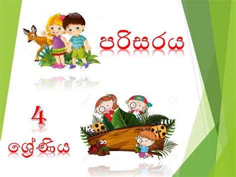 4 ශ්‍රේණිය පරිසරය